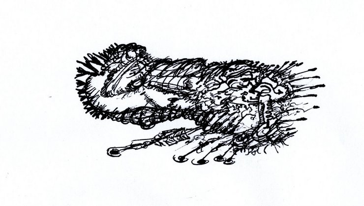 Dotes : doodle notes